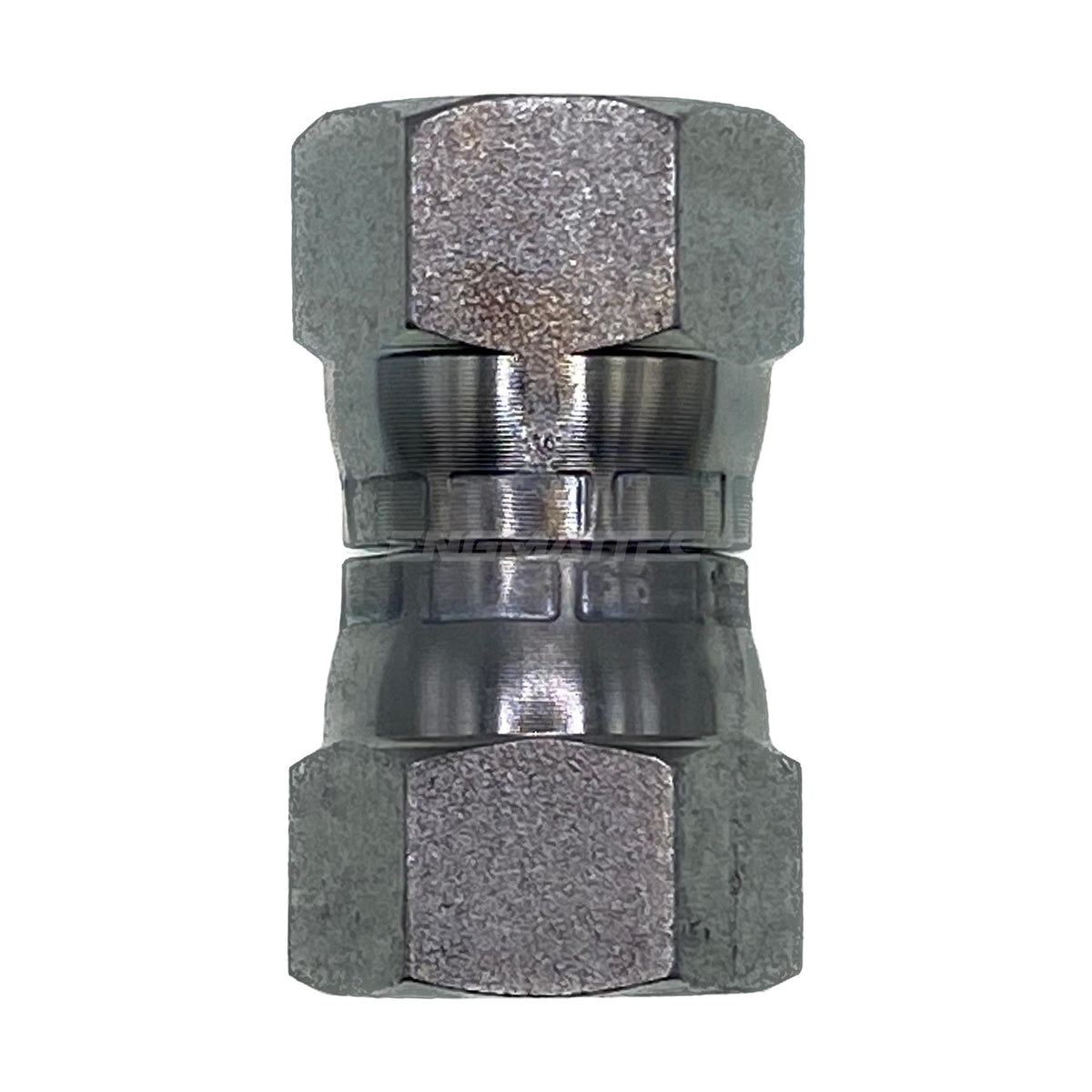 JIC Female x JIC Female Straight — ENGMATTEC Australia