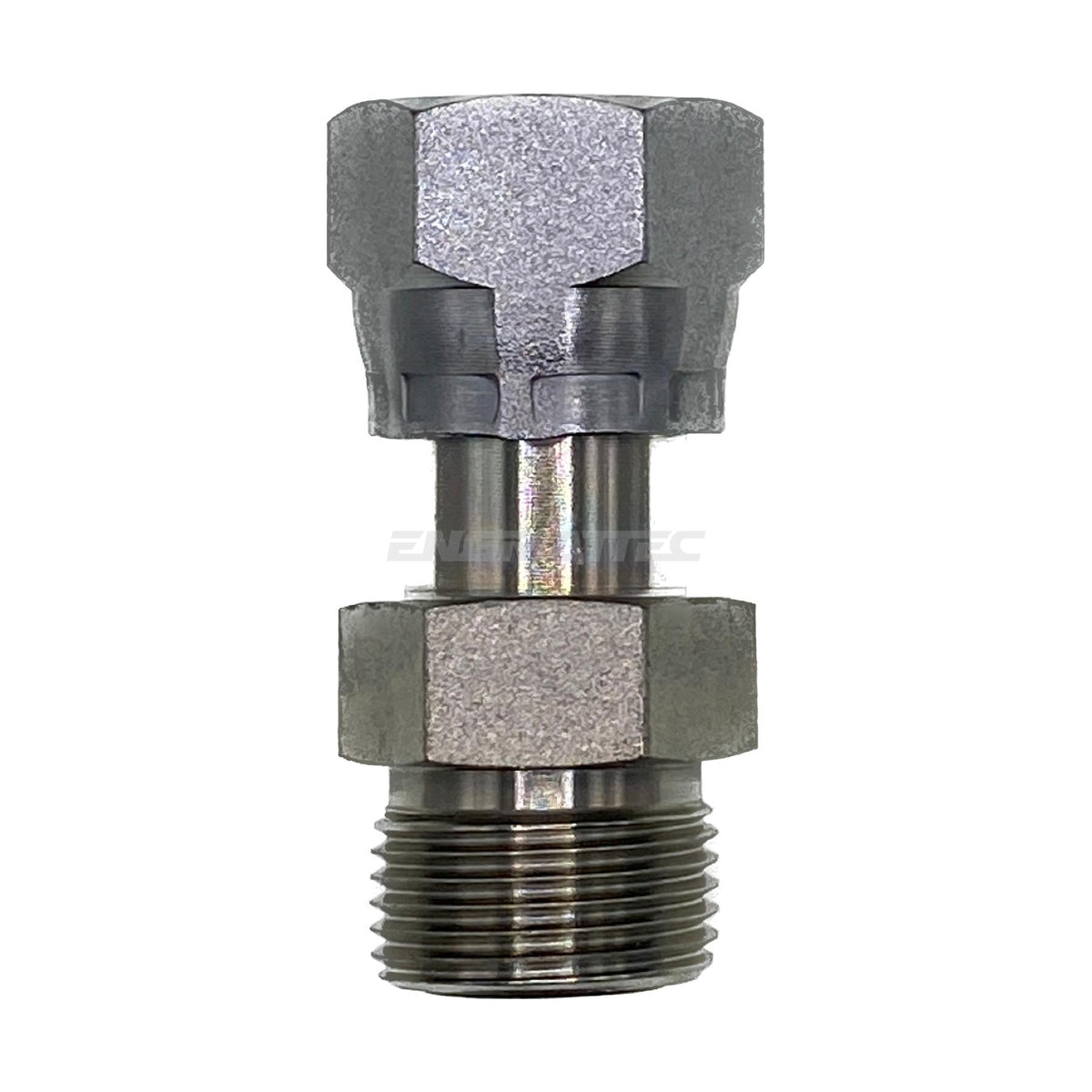 ORFS Female x ORFS Male Straight — ENGMATTEC Australia